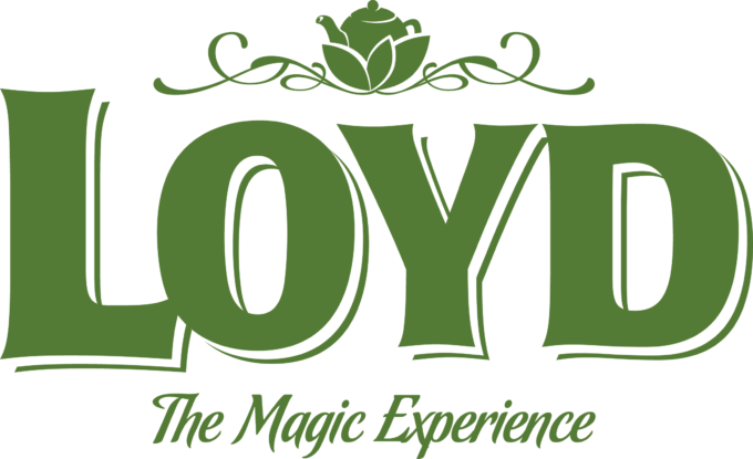 Loyd Black Tea With Cinnamon 40g (2-pack) - Maple Mart